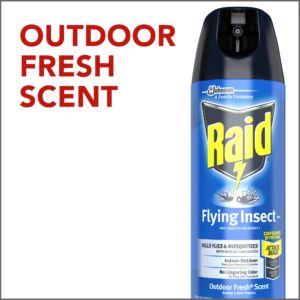 Raid Flying Insect Killer Lawn and Garden 20 Ounce (Pack of 2)