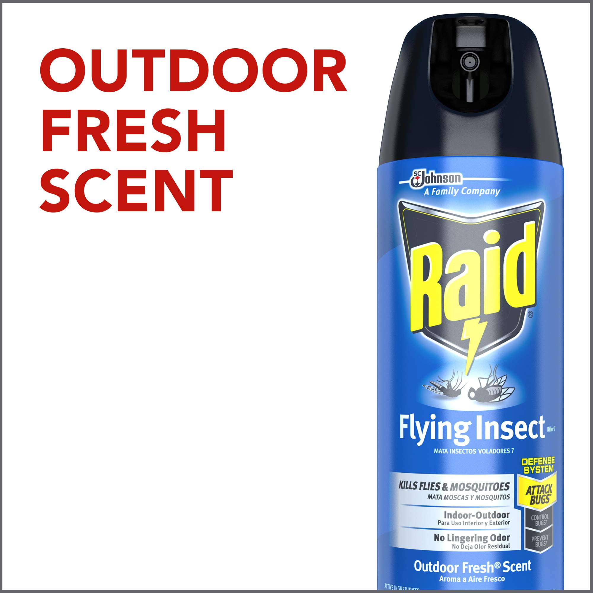 Raid Flying Insect Killer Lawn and Garden 20 Ounce (Pack of 2)