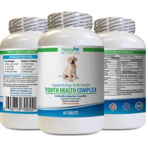 Dog Mouth Cleaner - Dog Teeth Health Complex - Bad Breath and RED Gums Solution - Immune Support - Oral Hygiene Boost - Dog Vitamins for Skin and Coat - 1 Bottle (60 Treats)