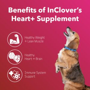 InClover, Dog Heart Health Supplement BioVibrant, Helps Support Dog Heart Health, Dog Supplement Treat Powder with Taurine Helps Pet Heart Health and Dog Weight Management, Dog Immune Support