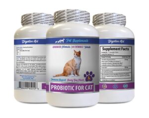 pet supplements cat digestive enzymes - cat probiotis - immune support - savory beef flavor - natural formula - cat probiotics for vomiting - 1 bottle (60 treats)