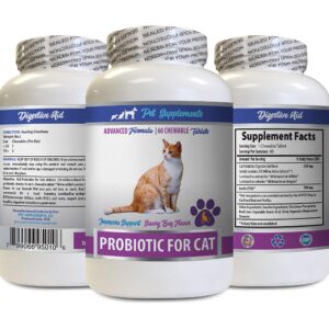 PET SUPPLEMENTS cat Digestive enzymes - CAT PROBIOTIS - Immune Support - Savory Beef Flavor - Natural Formula - cat probiotics for Vomiting - 1 Bottle (60 Treats)