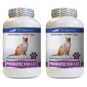 PET SUPPLEMENTS cat Allergy Relief - CAT PROBIOTICS - Immune Support - Savory Beef Flavor - Natural Formula - cat probiotics for - 2 Bottles (120 Treats)