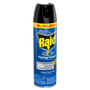 Raid Flying Insect Killer Lawn and Garden 20 Ounce (Pack of 2)