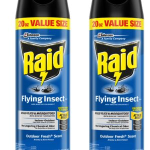 Raid Flying Insect Killer Lawn and Garden 20 Ounce (Pack of 2)