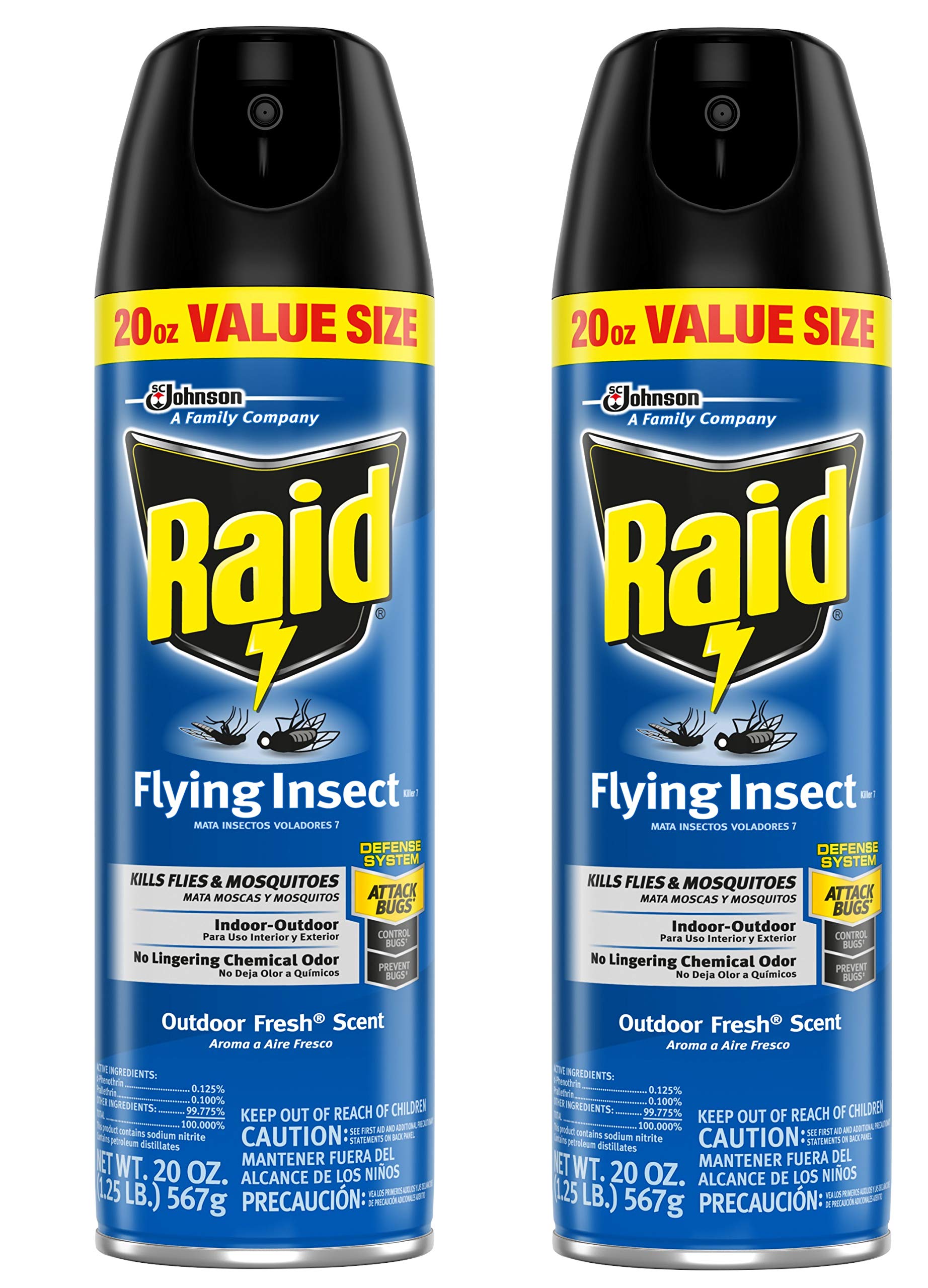 Raid Flying Insect Killer Lawn and Garden 20 Ounce (Pack of 2)