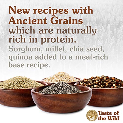 Taste of the Wild with Ancient Grains, Ancient Prairie Canine Recipe with Roasted Bison and Venison Dry Dog Food, Made with High Protein from Real Meat and Guaranteed Nutrients and Probiotics 5lb