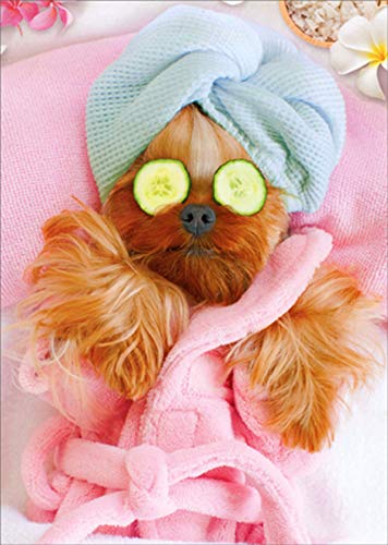 Portal Dog at Spa Funny/Humorous Feminine Birthday Card for Her/Woman