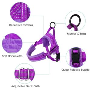 Lukovee Dog Harness and Leash Set, Soft Padded Small Dog Harness, Neck & Chest Adjustable Reflective Vest Puppy Harness with 4ft Lightweight Anti-Twist Dog Leash for Small Dogs (XX-Small, Purple)