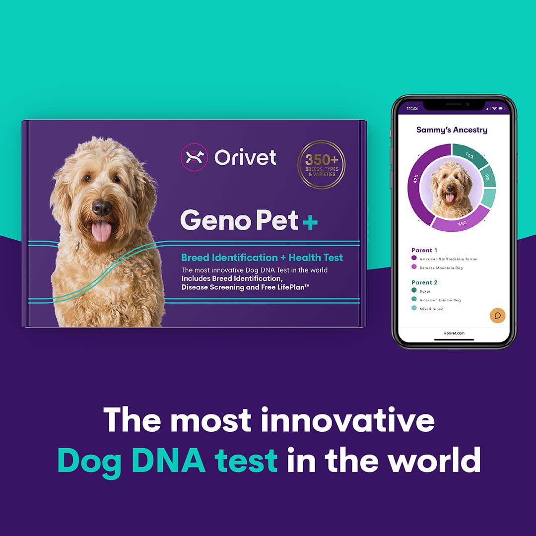 Orivet Dog DNA Test | Comprehensive Dog Breed Test Kit, Genetic Testing and Life Plan GenoPet+ for Canines