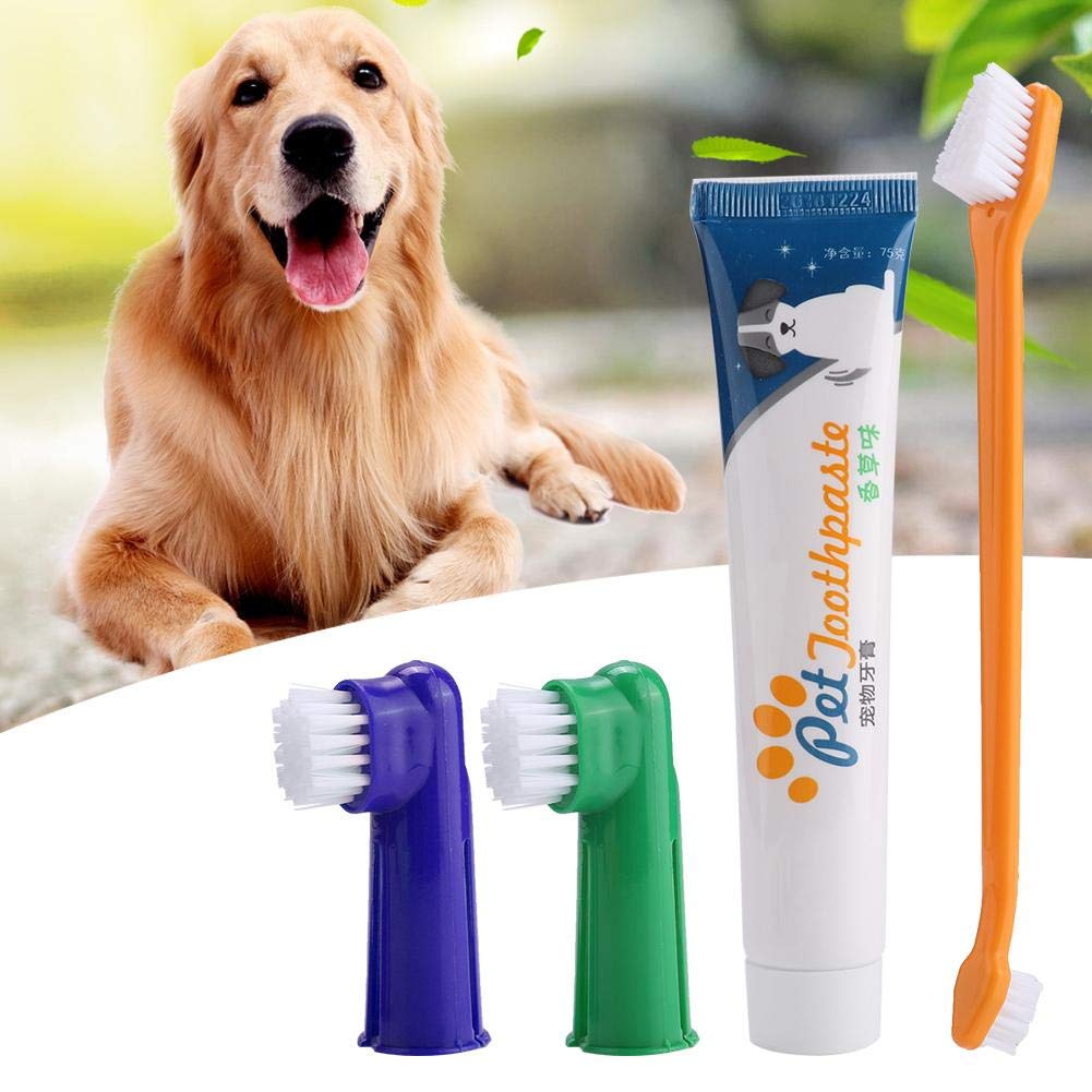 Pet Dog Cat Toothbrush Toothpaste Set Dog Soft Toothbrush Flavored Toothpaste Dental Care Tool for Reduces Tartar Buildup with Dual Headed Toothbrush Finger BrushToothpaste