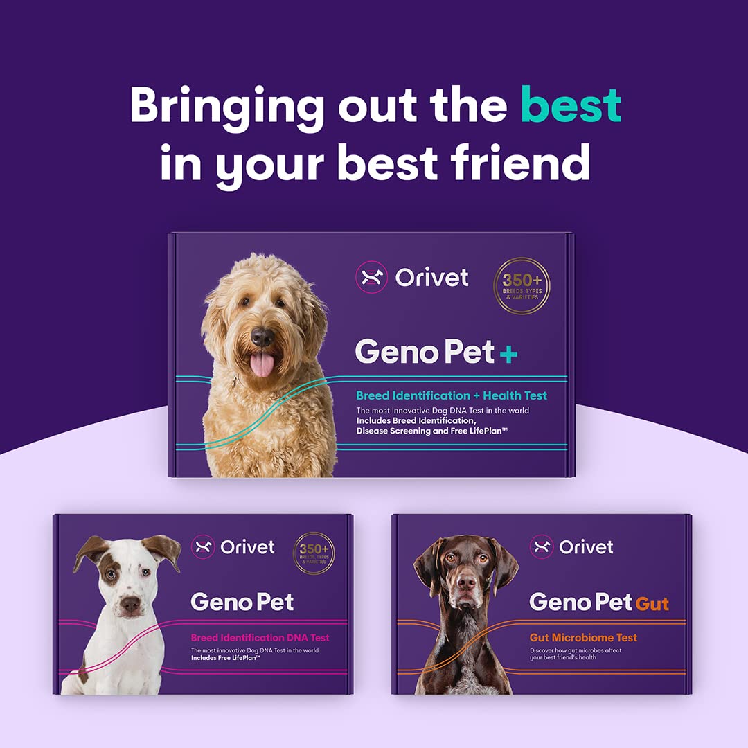 Orivet Dog DNA Test | Comprehensive Dog Breed Test Kit, Genetic Testing and Life Plan GenoPet+ for Canines