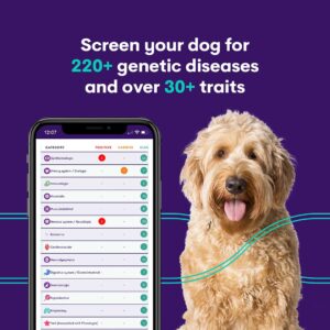 Orivet Dog DNA Test | Comprehensive Dog Breed Test Kit, Genetic Testing and Life Plan GenoPet+ for Canines