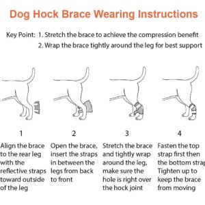 NeoAlly Cat and Dog Ankle Brace Pair Canine Rear Leg Hock Support with Safety Reflective Straps for Hind Leg Wounds Heal and Injuries and Sprains from Arthritis (S Pair)