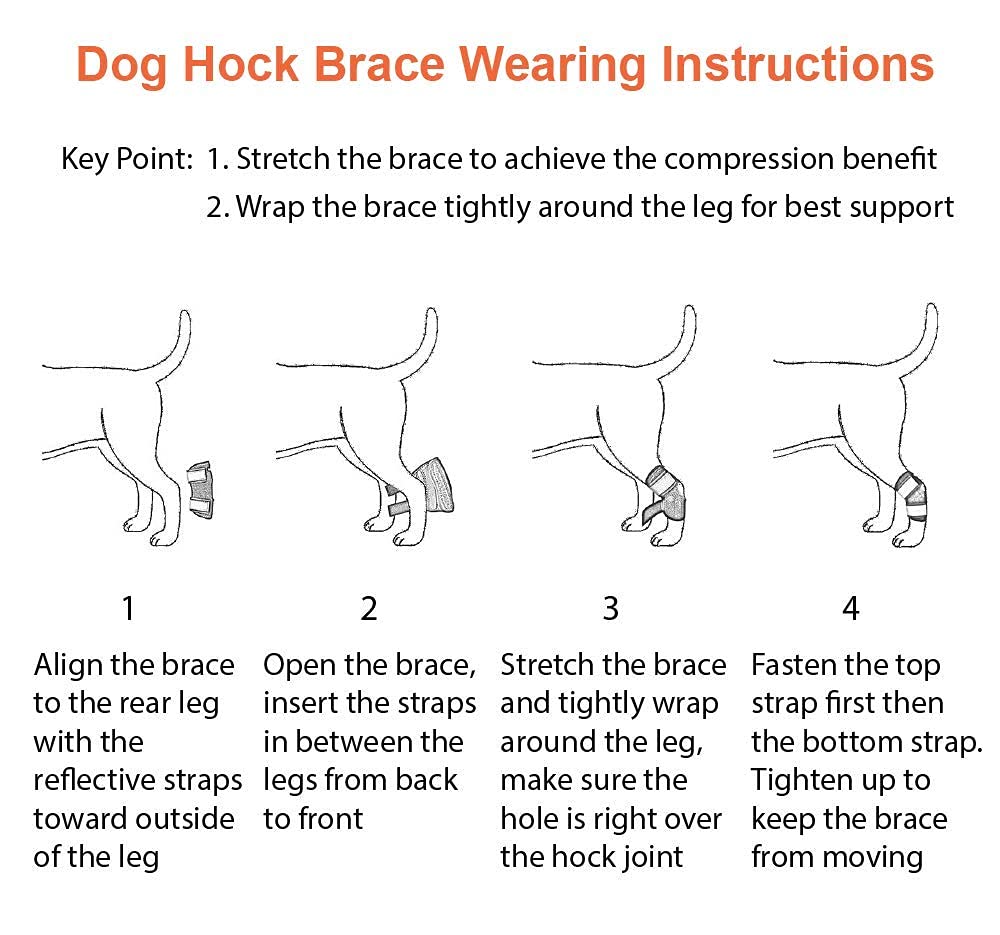 NeoAlly Cat and Dog Ankle Brace Pair Canine Rear Leg Hock Support with Safety Reflective Straps for Hind Leg Wounds Heal and Injuries and Sprains from Arthritis (S Pair)