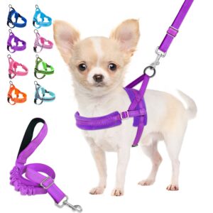 lukovee dog harness and leash set, soft padded small dog harness, neck & chest adjustable reflective vest puppy harness with 4ft lightweight anti-twist dog leash for small dogs (xx-small, purple)