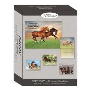 cpg card-boxed-shared blessings-birthday wild horses (box of 12)