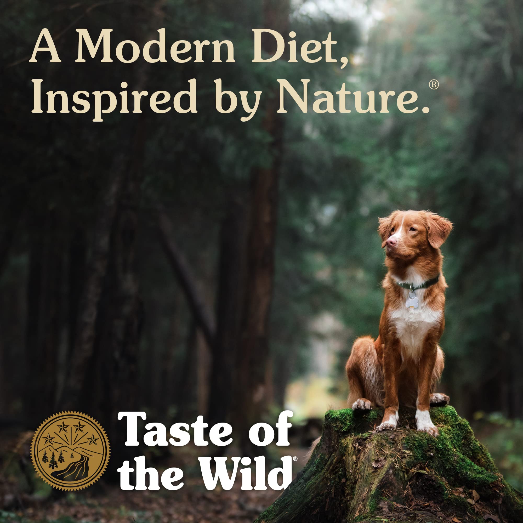 Taste of the Wild with Ancient Grains, Ancient Prairie Canine Recipe with Roasted Bison and Venison Dry Dog Food, Made with High Protein from Real Meat and Guaranteed Nutrients and Probiotics 14lb