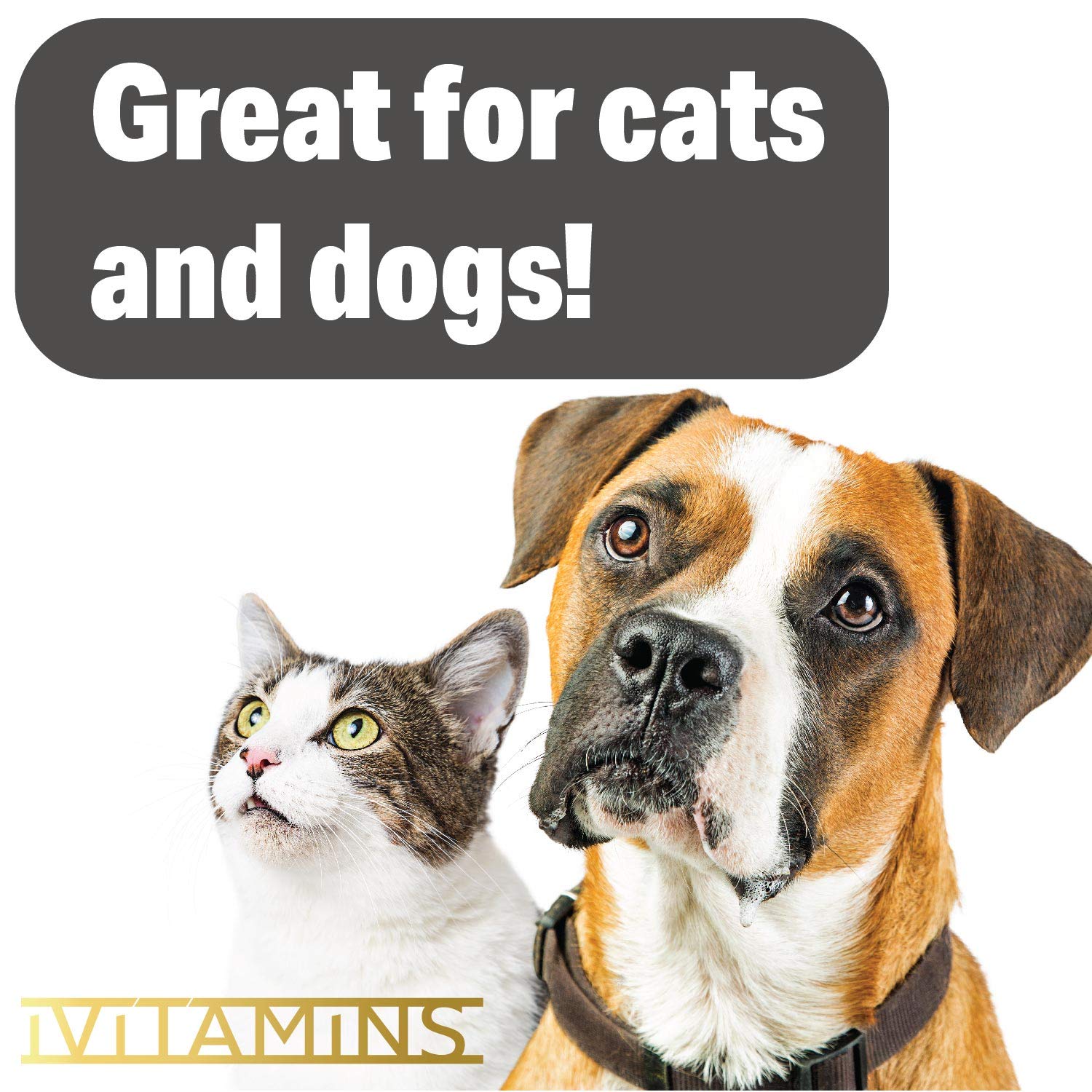 iVitamins Hemp Oil for Pets, Dogs, Cats : 4 fl oz : May Help with Separation, Inflammation, Joints, HIPS, and More : Hemp Extract : Easily Apply to Treats (1,000mg)