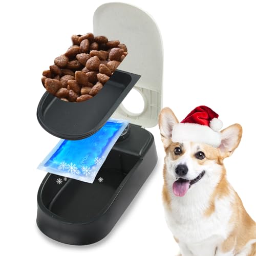 PAWISE Automatic Pet Feeder, Auto Dog Dry Food Dispenser with Timer for Cats and Dogs, Dog Automatic Feeder with Ice Pack (1 Meal)