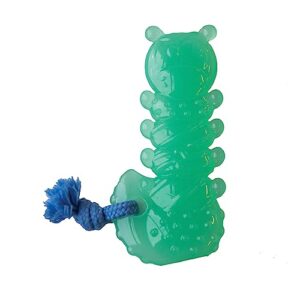 petstages orka chewit lil' caterpillar dog chew toy