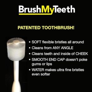 Brush My Teeth Small Dog Toothbrush, Rounded Brush Head -Soft Flexible Bristles, Safe and Gentle Brushing for Small Dogs, Small Breeds and Puppy, Daily Brushing Adds Years of Healthy Life, Multicolor