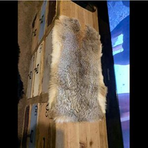 Natural Tanned Rabbit Fur Hide (10" by 12" Rabbit Pelt with Sewing Quality Leather)