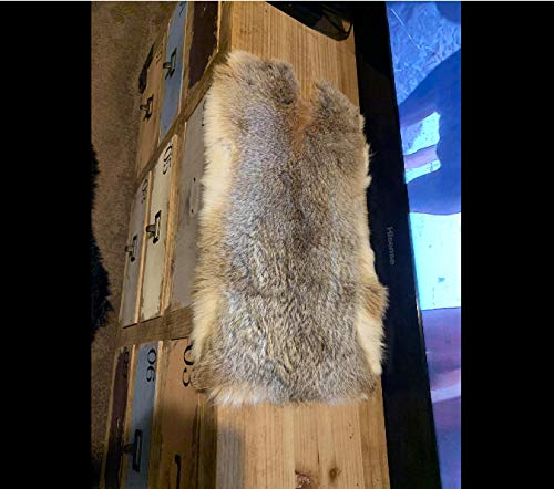 Natural Tanned Rabbit Fur Hide (10" by 12" Rabbit Pelt with Sewing Quality Leather)