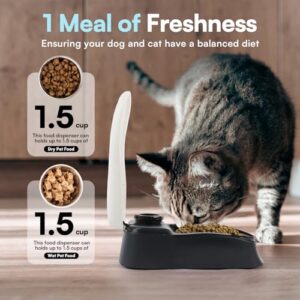 PAWISE Automatic Pet Feeder, Auto Dog Dry Food Dispenser with Timer for Cats and Dogs, Dog Automatic Feeder with Ice Pack (1 Meal)