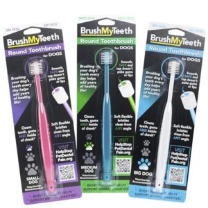 Brush My Teeth Small Dog Toothbrush, Rounded Brush Head -Soft Flexible Bristles, Safe and Gentle Brushing for Small Dogs, Small Breeds and Puppy, Daily Brushing Adds Years of Healthy Life, Multicolor