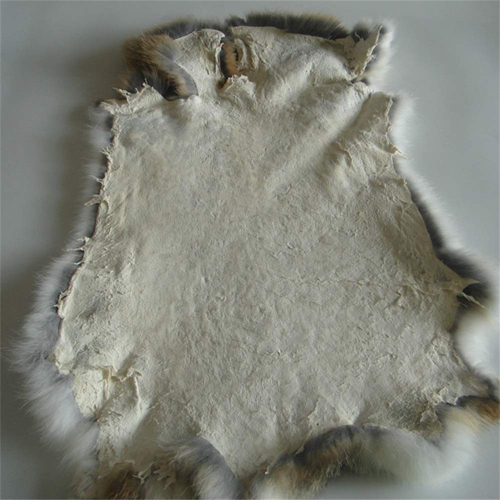 Natural Tanned Rabbit Fur Hide (10" by 12" Rabbit Pelt with Sewing Quality Leather)