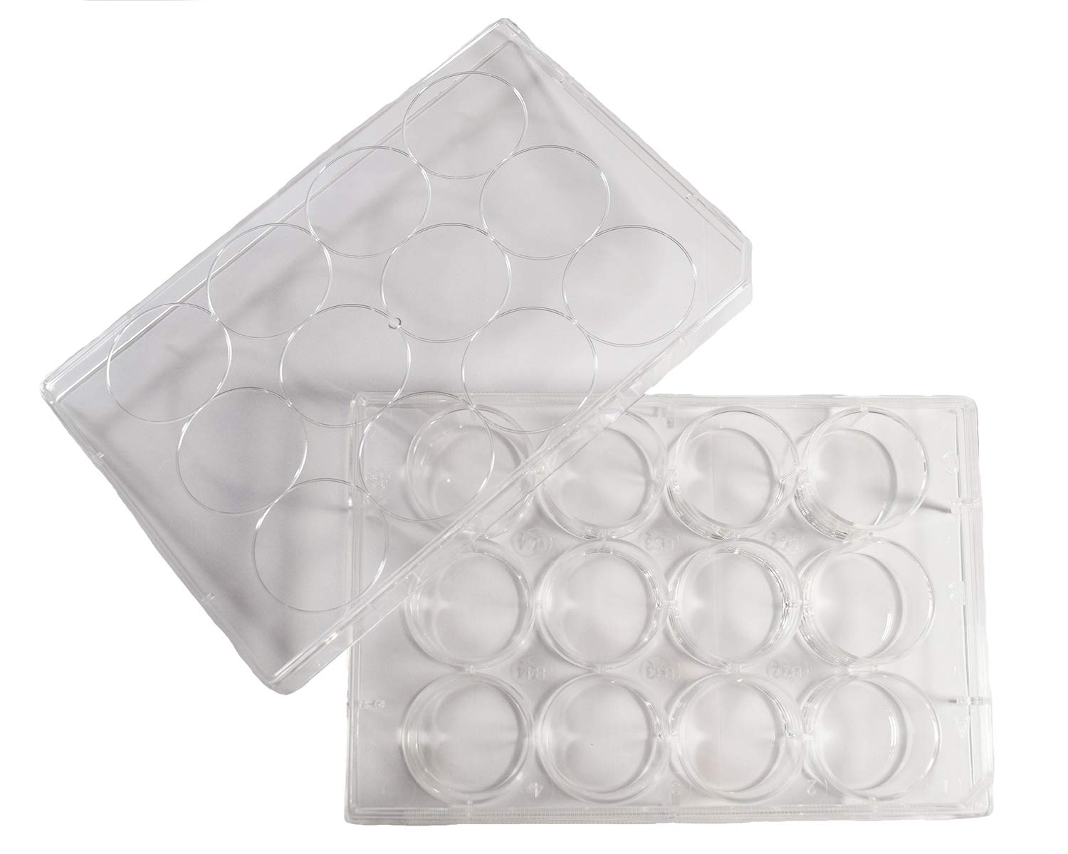 ADVANGENE 12 Well Treated Sterile Flat Tissue Culture Plate (50/Case)