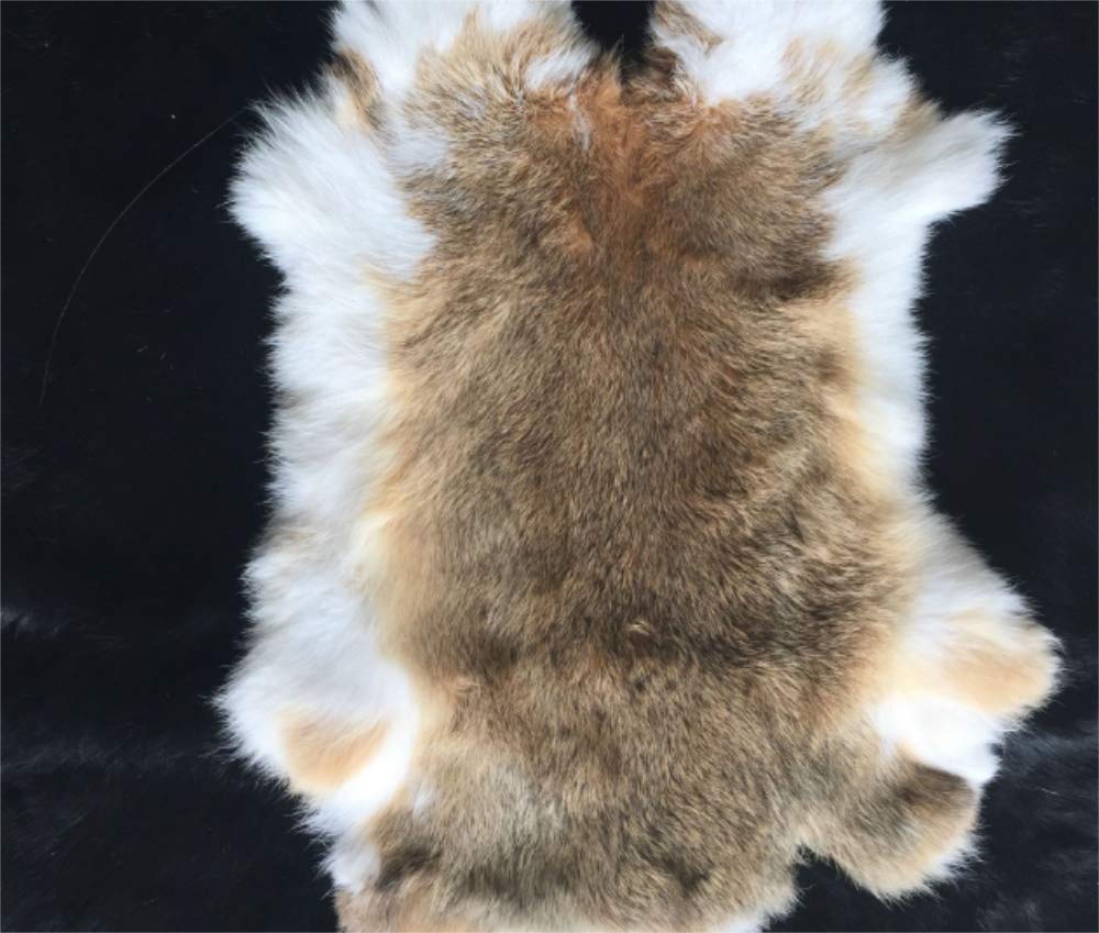 Natural Tanned Rabbit Fur Hide (10" by 12" Rabbit Pelt with Sewing Quality Leather)