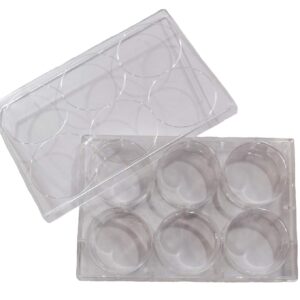 ADVANGENE 6 Well Non-Treated Sterile Flat Tissue Culture Plate with lid (50/Case)