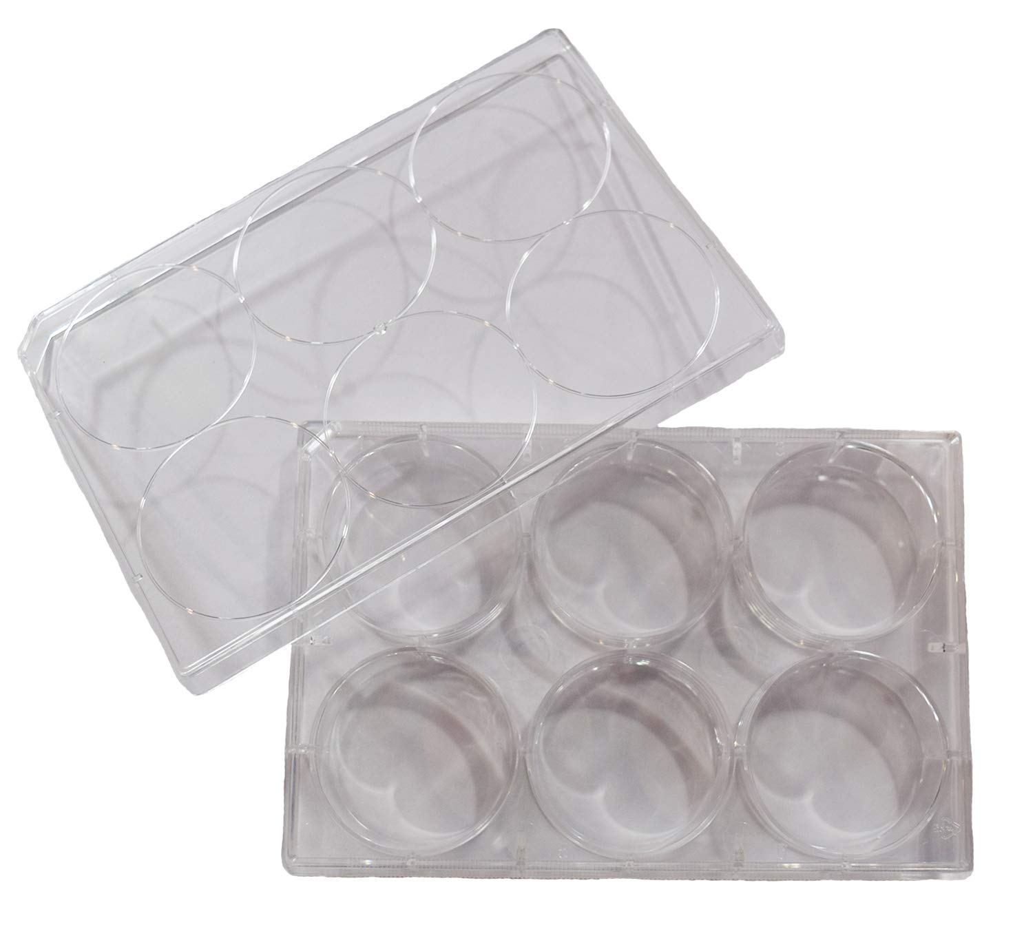 ADVANGENE 6 Well Non-Treated Sterile Flat Tissue Culture Plate with lid (50/Case)