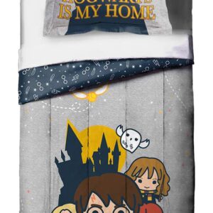 Jay Franco Harry Potter Twin Comforter Set, Gray