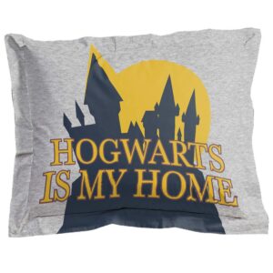 Jay Franco Harry Potter Twin Comforter Set, Gray