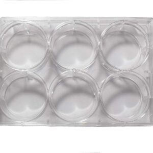 ADVANGENE 6 Well Non-Treated Sterile Flat Tissue Culture Plate with lid (50/Case)