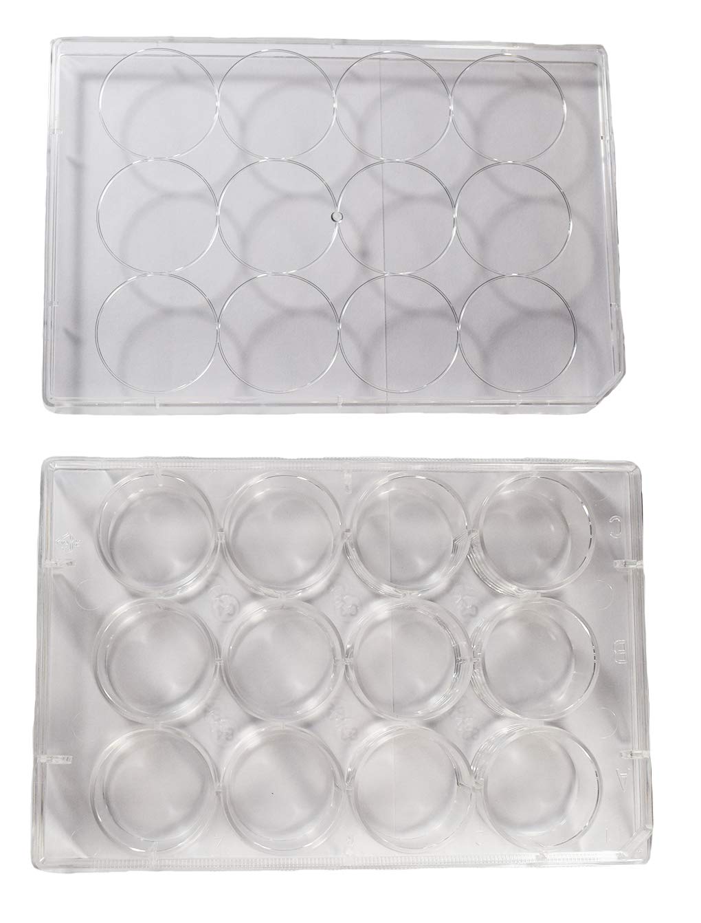 ADVANGENE 12 Well Treated Sterile Flat Tissue Culture Plate (50/Case)