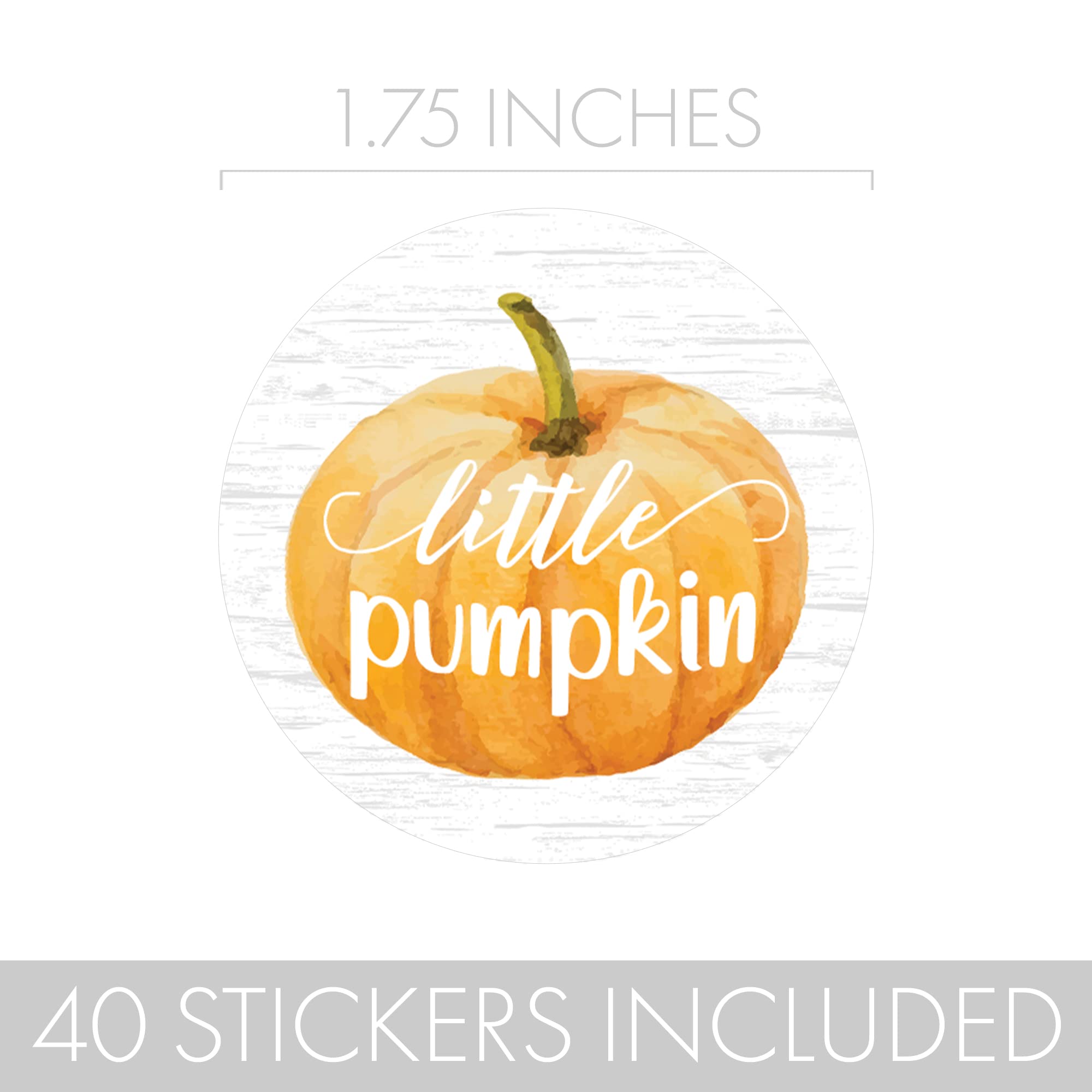 Orange Little Pumpkin Baby Shower Favor Stickers, Fall Pumpkin Envelope Seals, Bag Stickers - 40 Count