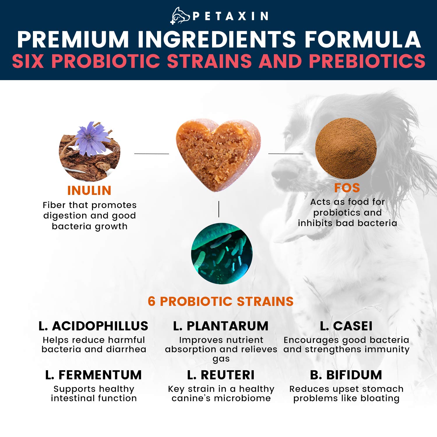 Petaxin Probiotics for Dogs - 6 Strains with Prebiotics - Supports Digestive and Immune System – Relief for Diarrhea, Bad Breath, Allergies, Gas, Constipation, Hot Spots - Made in USA - 120 Chews