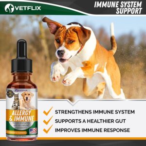 Velflix Allergy Immune Anti Itch & Hot Spots - Made in USA Natural Pet Supplement for Cat & Dog Allergy Relief with Turmeric & Milk Thistle -Seasonal Allergies Digestive Treatment for Dogs & Cats