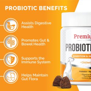 PREMIUM CARE Probiotics for Dogs for Yeast, Itchy Skin and Itchy Ears - Advanced Probiotic for Gut Health, Gut Flora, Bowel Health Support, Diarrhea, Digestive Health & Seasonal Allergies- 120 Chews