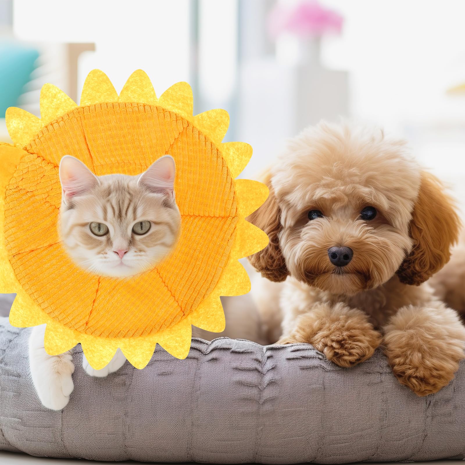 POPETPOP Pet Protective Recovery Collar - Adjustable Sunflower Shape Elizabethan Cat Cone Collar, Cute Soft Cone After Surgery Neck Collar for Cats and Small Dogs