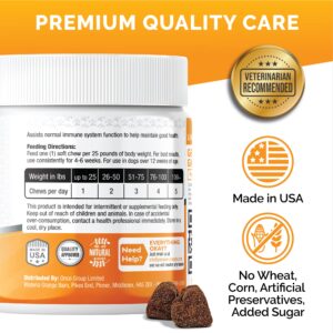 PREMIUM CARE Probiotics for Dogs for Yeast, Itchy Skin and Itchy Ears - Advanced Probiotic for Gut Health, Gut Flora, Bowel Health Support, Diarrhea, Digestive Health & Seasonal Allergies- 120 Chews