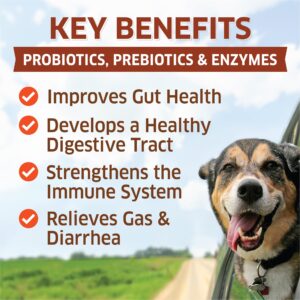 Probiotics for Dogs - Hot Spot Remedy for Dogs + Prebiotic - Dog Allergy Chews - Improve Digestion & Upset Tummy, Relieve Gas & Diarrhea, Dog Probiotics and Digestive Enzymes, 120 Dog Probiotic Chews