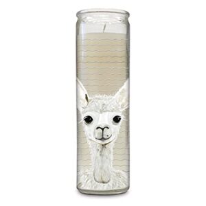 scented cathedral candle by studio oh! - 13-ounce soy-blend wax pillar candle in decorative glass container - passion fruit - burns up to 115 hours