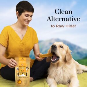 Dogsee Turmeric/Curcumin/Curcuma Flavor Himalayan Yak Cheese Dental Chews for Dogs (Medium - 2 Chews) | Anti-inflammatory | Made in Himalayan Regions | Premium Yak Cheese Dental Chews