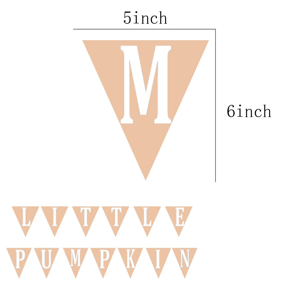 DiDida Little Pumpkin Banner for First Birthday or Baby Shower