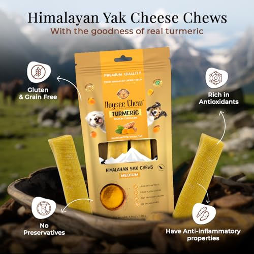 Dogsee Turmeric/Curcumin/Curcuma Flavor Himalayan Yak Cheese Dental Chews for Dogs (Medium - 2 Chews) | Anti-inflammatory | Made in Himalayan Regions | Premium Yak Cheese Dental Chews